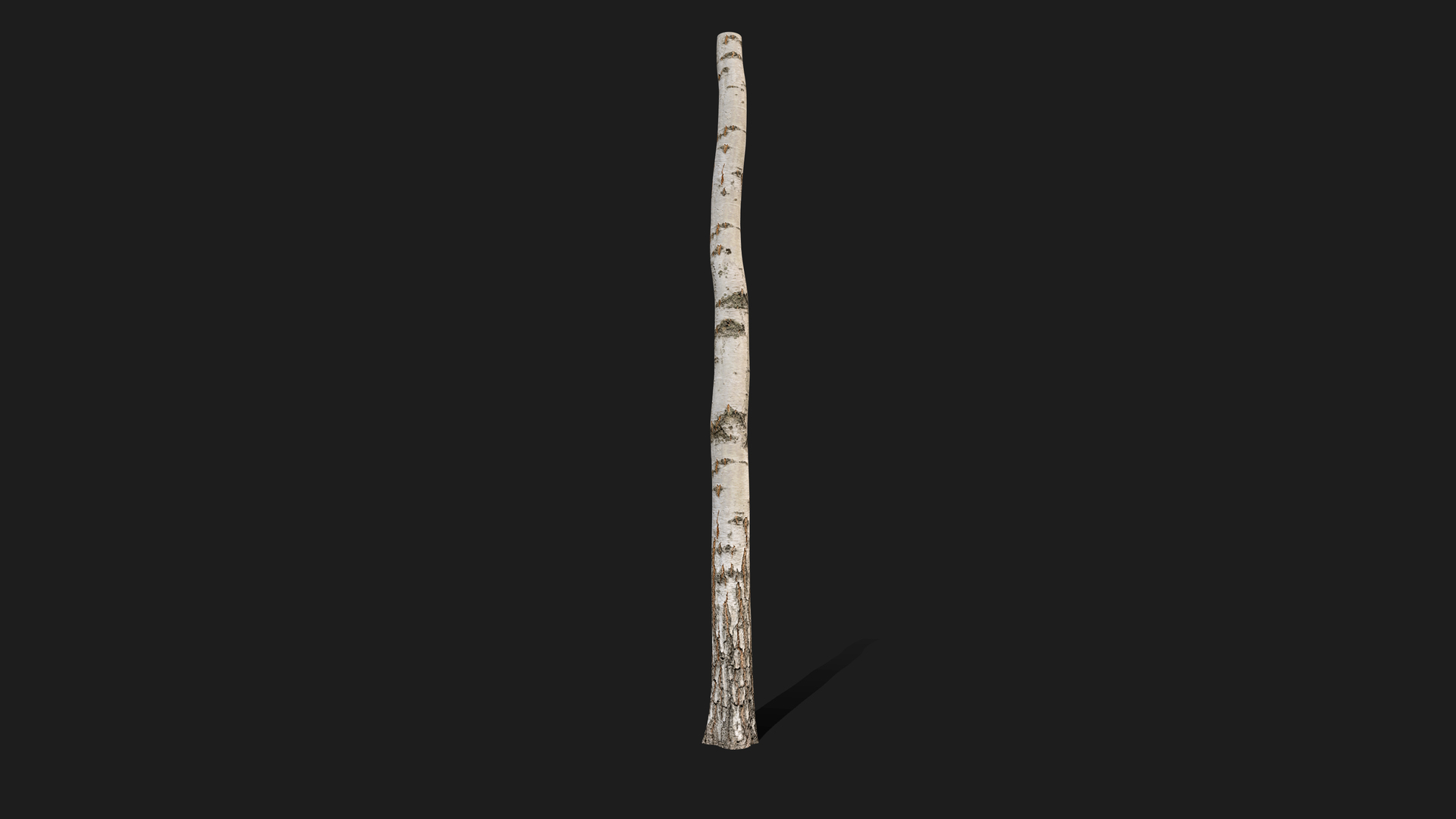 3D Model Birch Tree PBR Tiled Textures 8K - TurboSquid 2419319