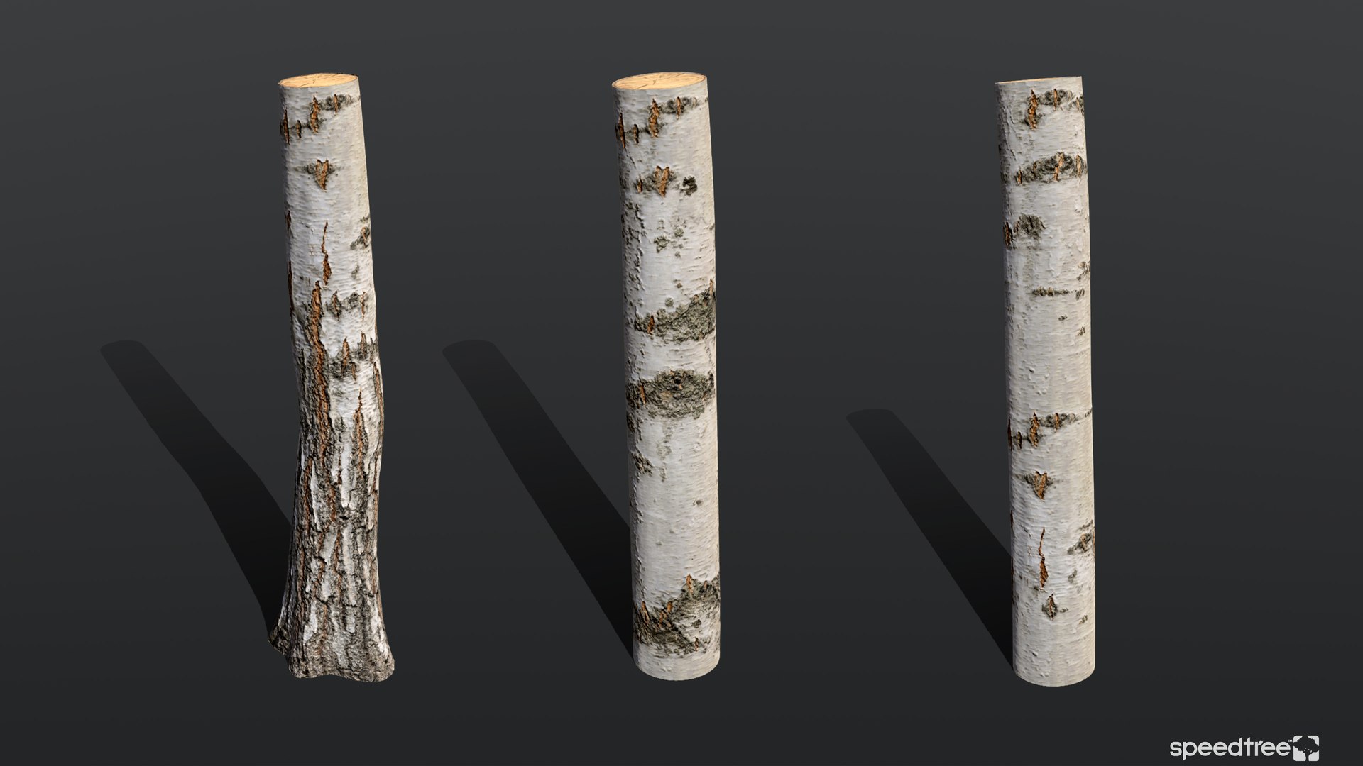 3D Model Birch Tree PBR Tiled Textures 8K - TurboSquid 2419319