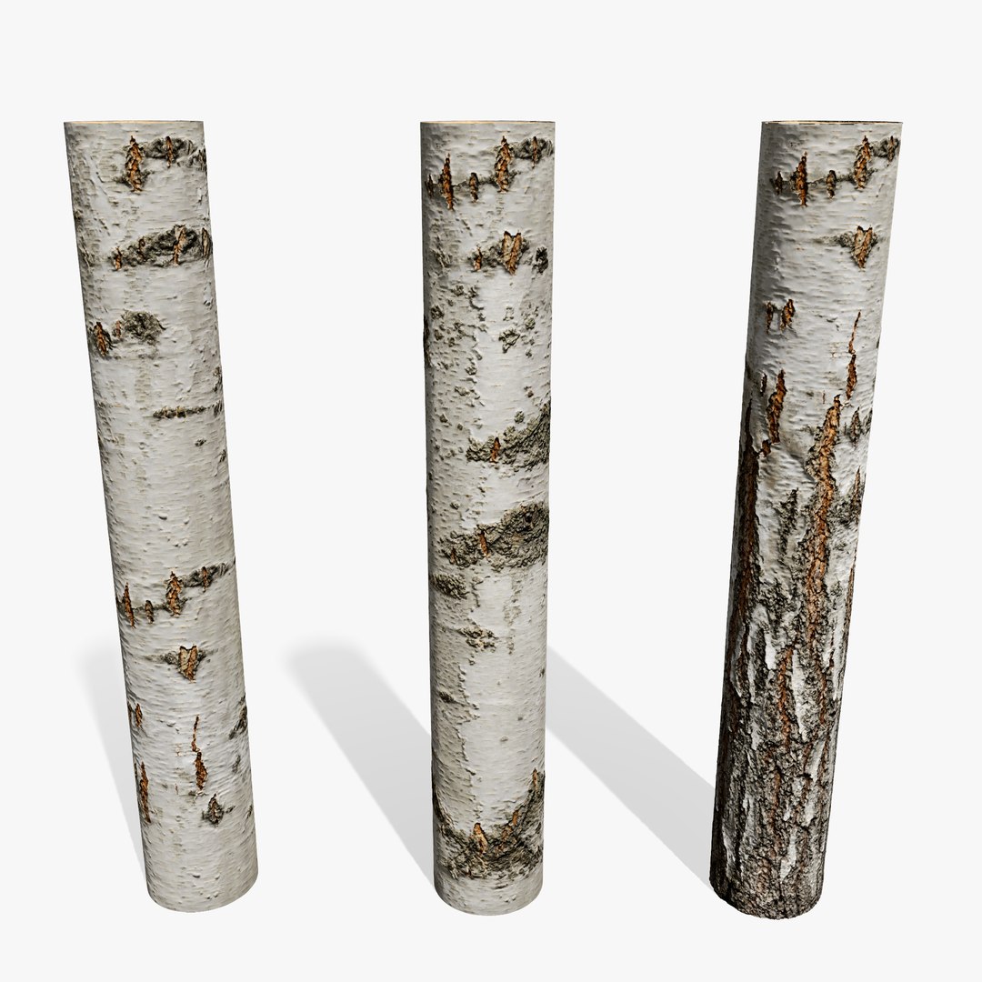 3D Model Birch Tree PBR Tiled Textures 8K - TurboSquid 2419319