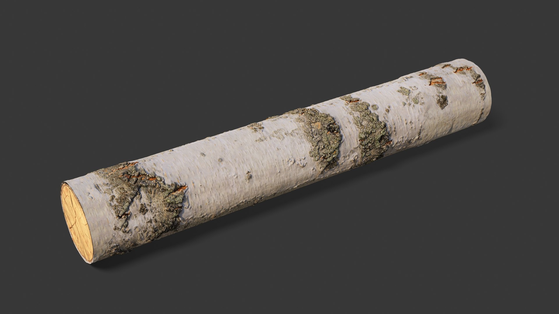3D Model Birch Tree PBR Tiled Textures 8K - TurboSquid 2419319