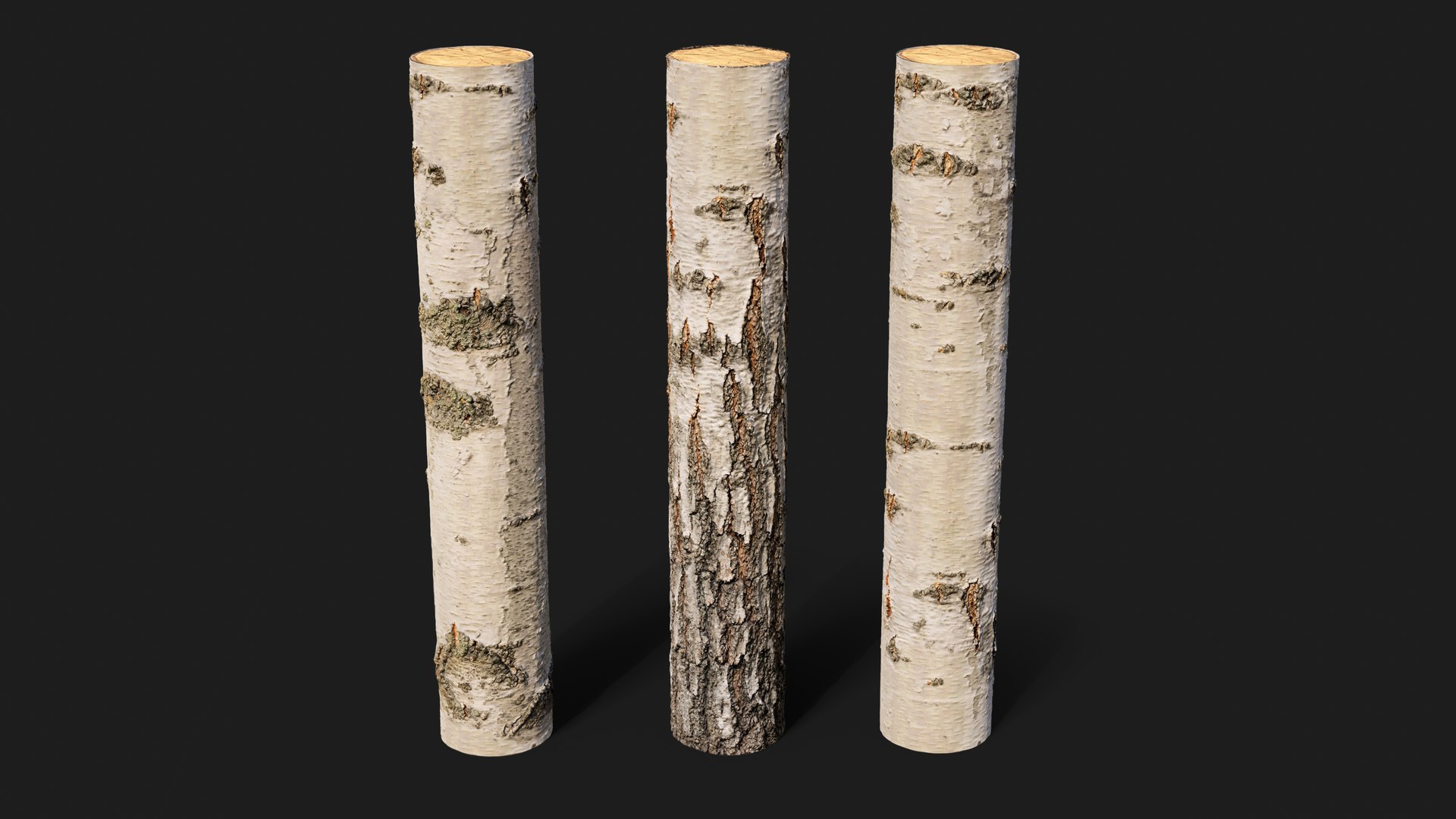 3D Model Birch Tree PBR Tiled Textures 8K - TurboSquid 2419319