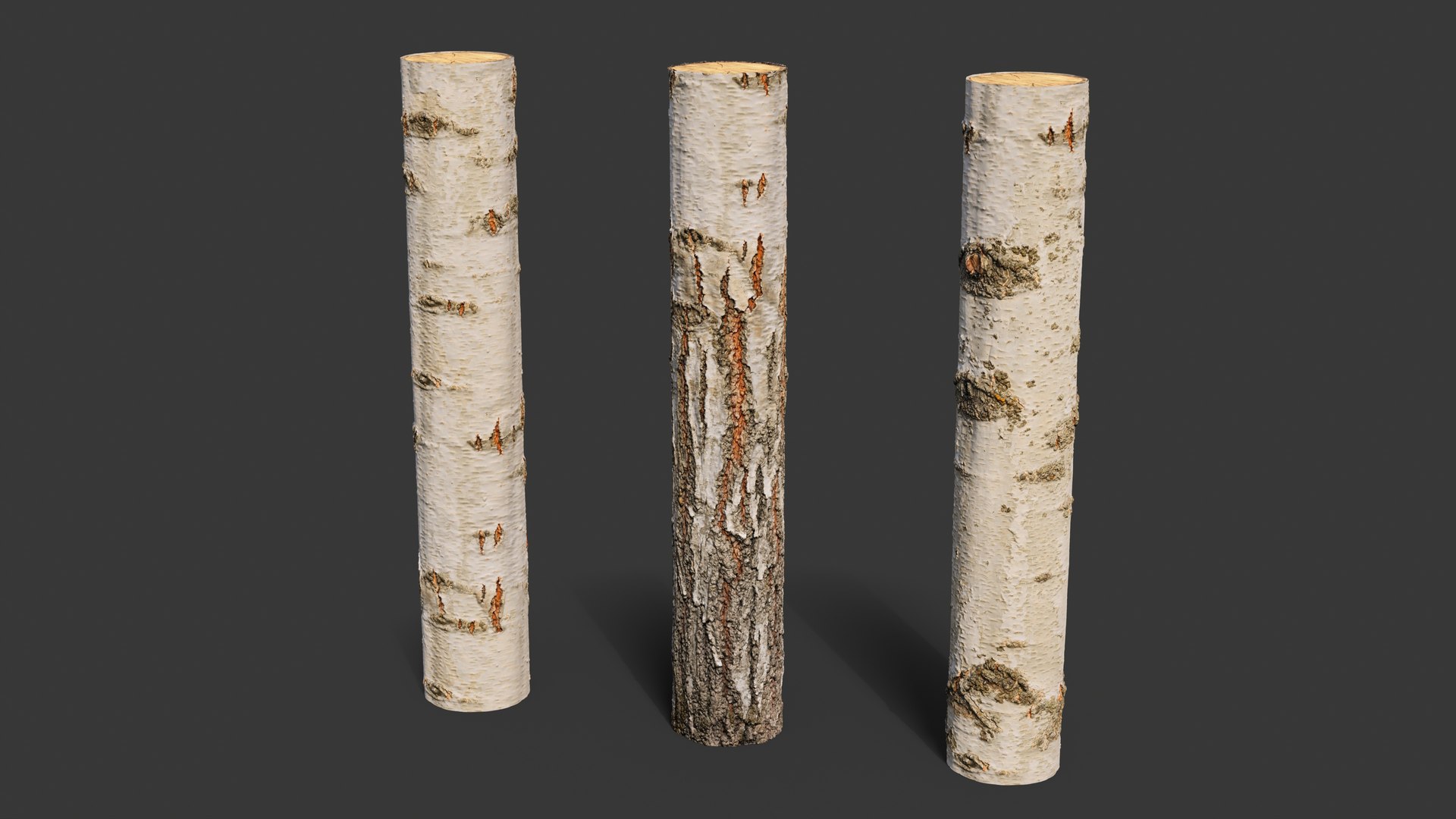 3D Model Birch Tree PBR Tiled Textures 8K - TurboSquid 2419319