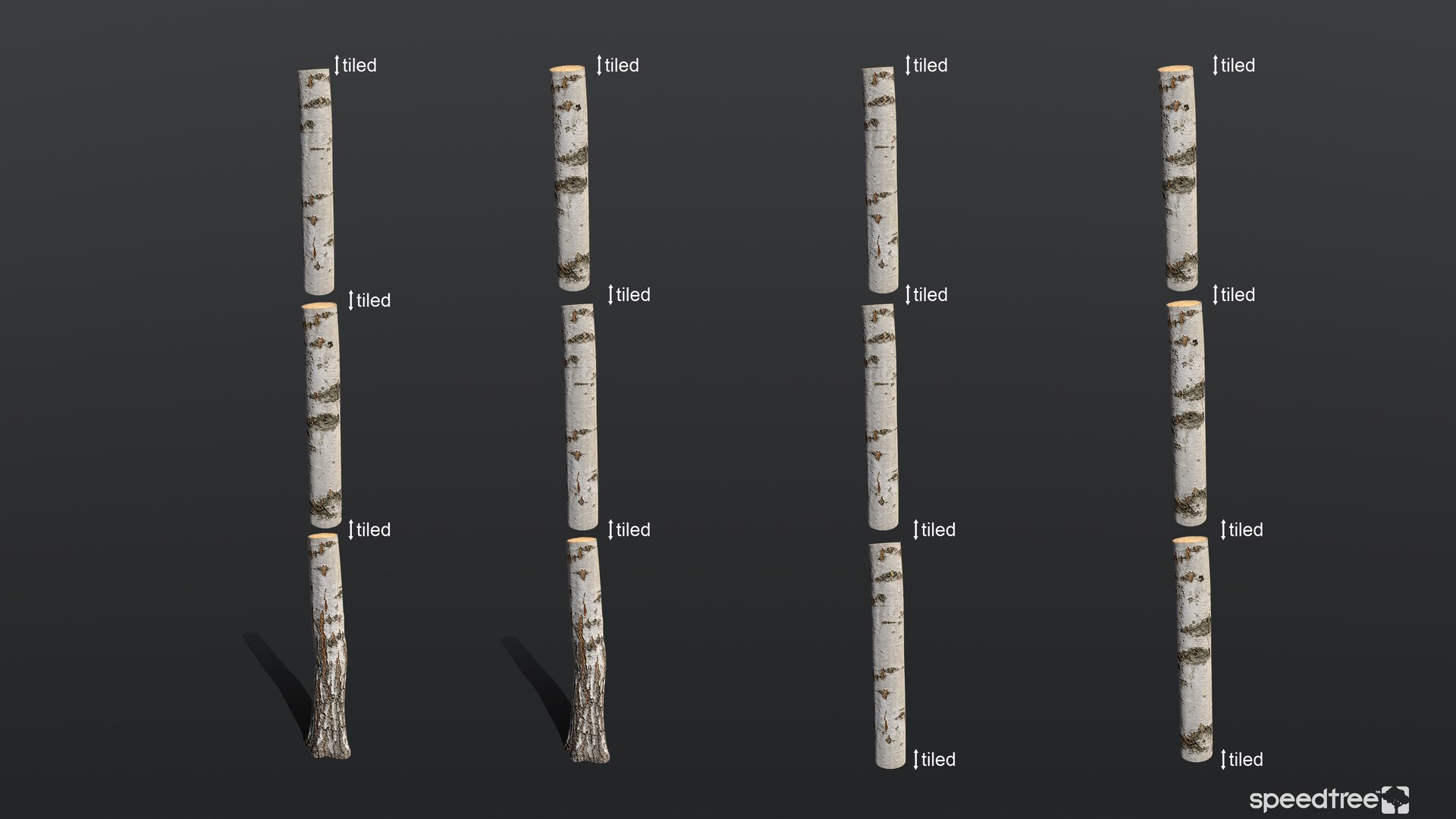 3D Model Birch Tree PBR Tiled Textures 8K - TurboSquid 2419319