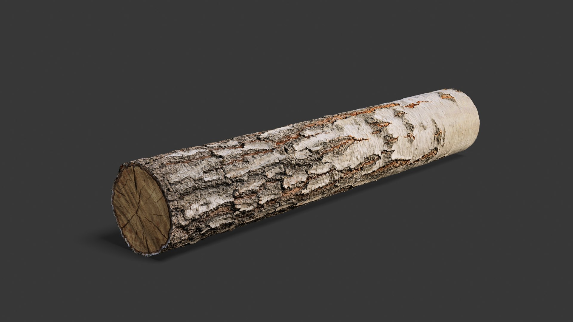 3D Model Birch Tree PBR Tiled Textures 8K - TurboSquid 2419319