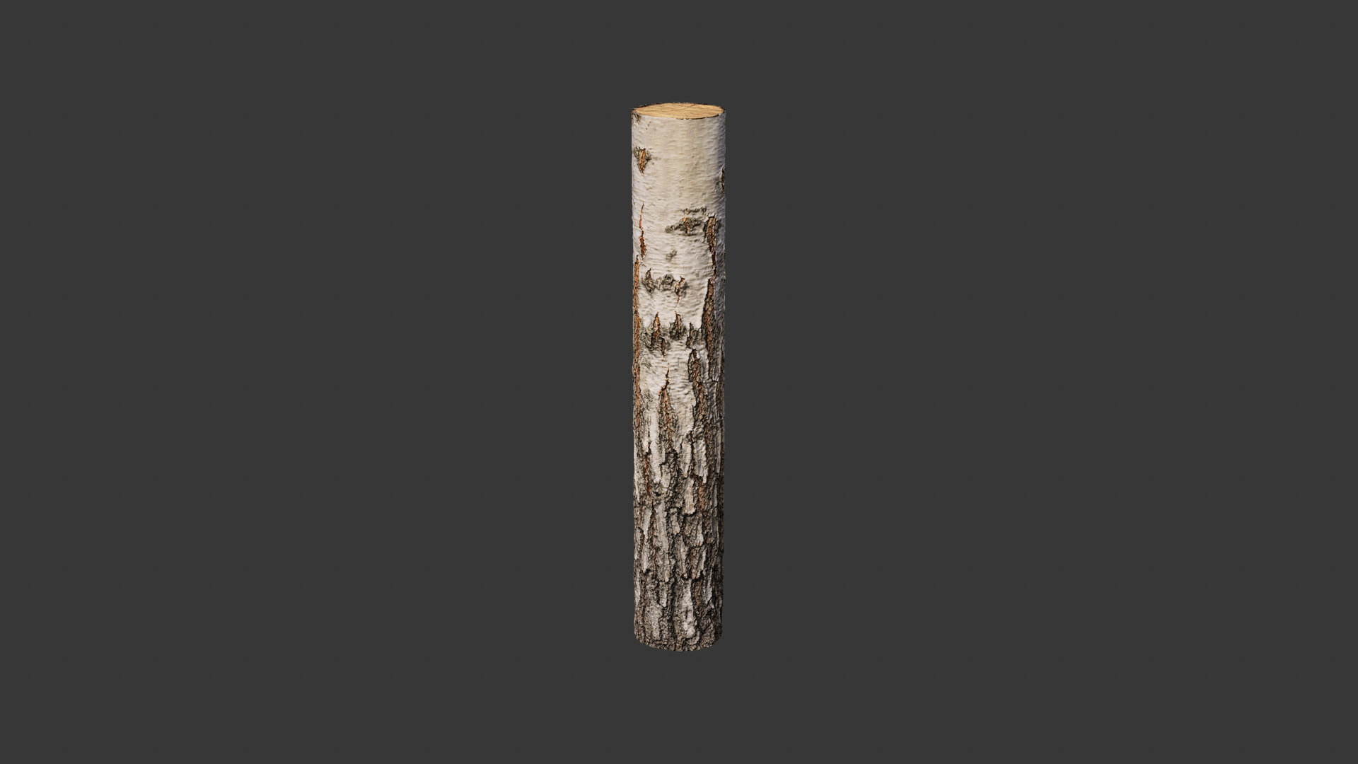 3D Model Birch Tree PBR Tiled Textures 8K - TurboSquid 2419319