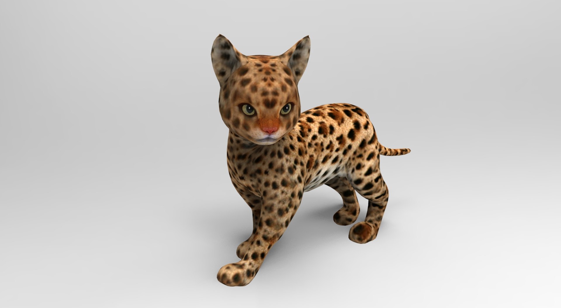 3D Model Cat Rigged Animation - TurboSquid 1204491