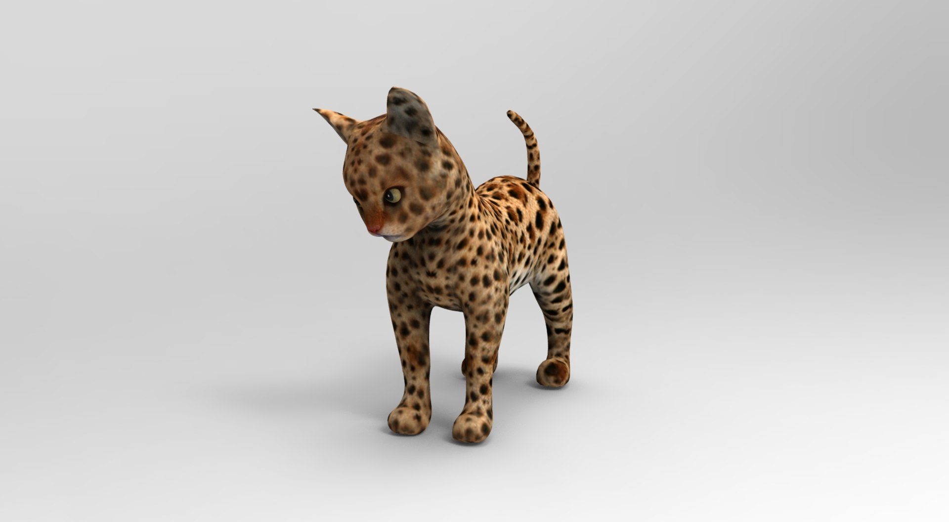 3D Model Cat Rigged Animation - TurboSquid 1204491