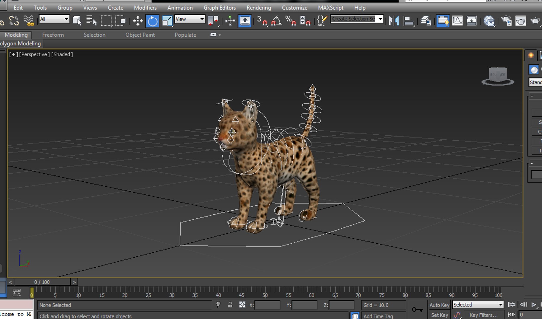 3D Model Cat Rigged Animation - TurboSquid 1204491