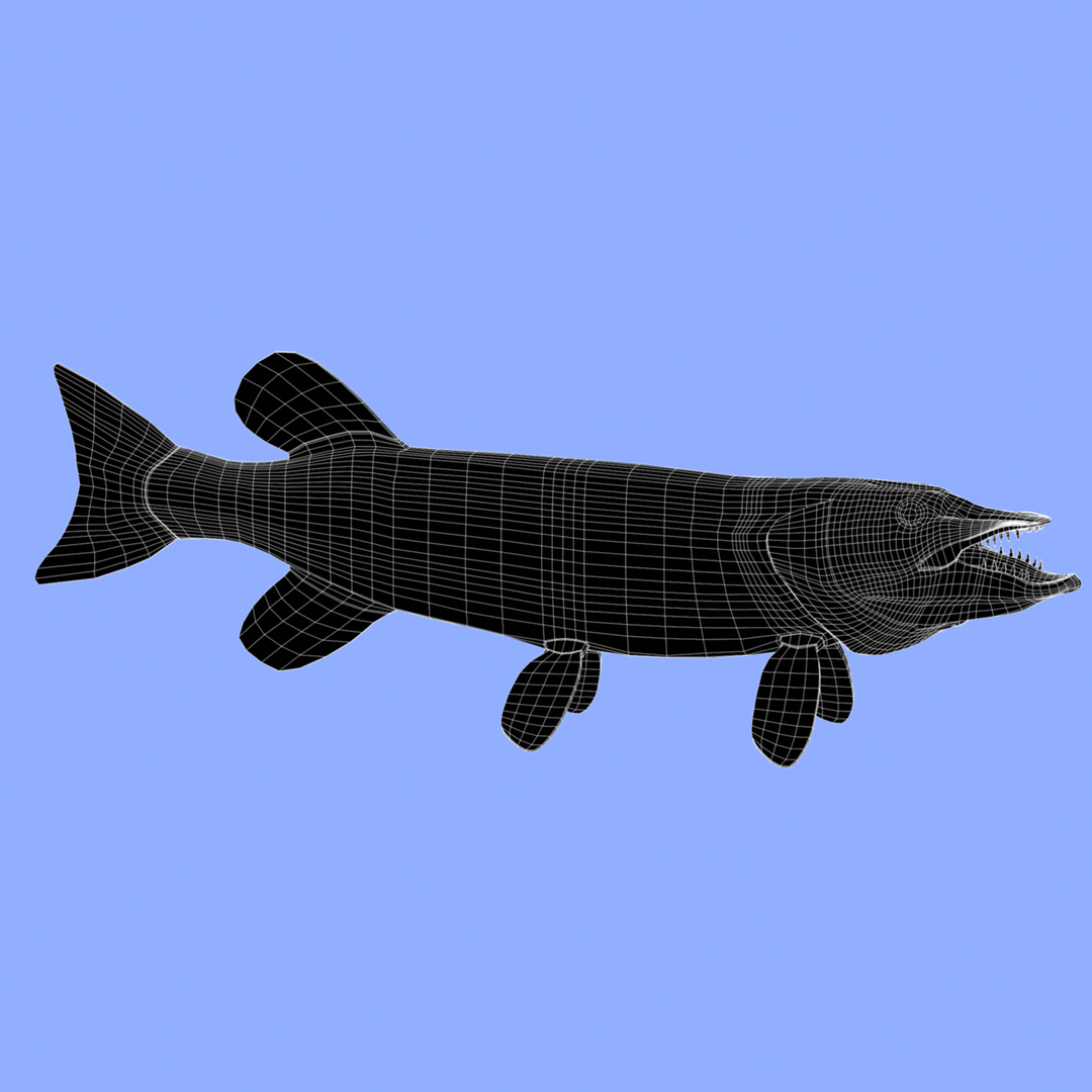 3d max muskie