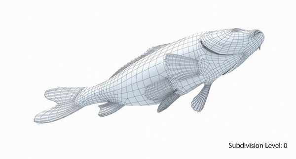 3D european carp animation - TurboSquid 1327226