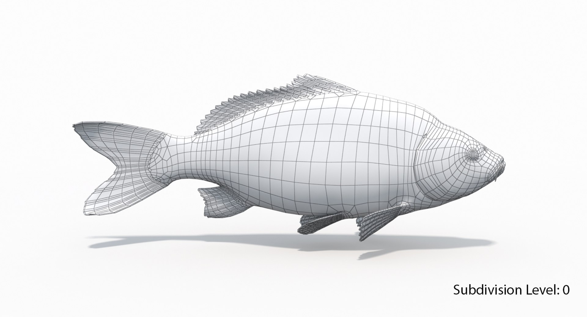 3D European Carp Animation - TurboSquid 1327226