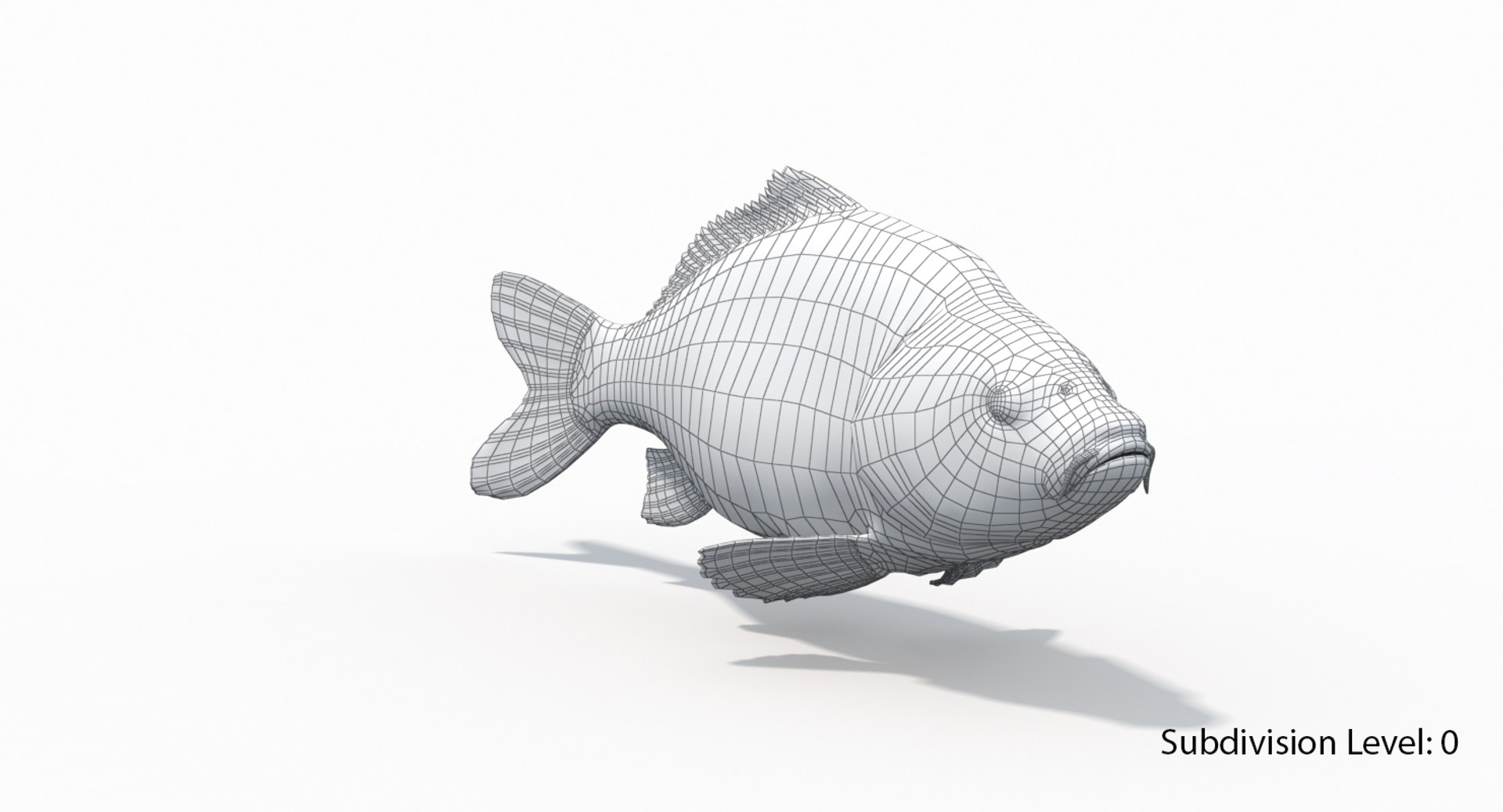3D European Carp Animation - TurboSquid 1327226