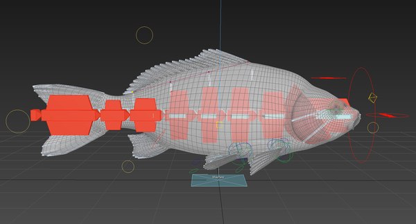 3D european carp animation - TurboSquid 1327226
