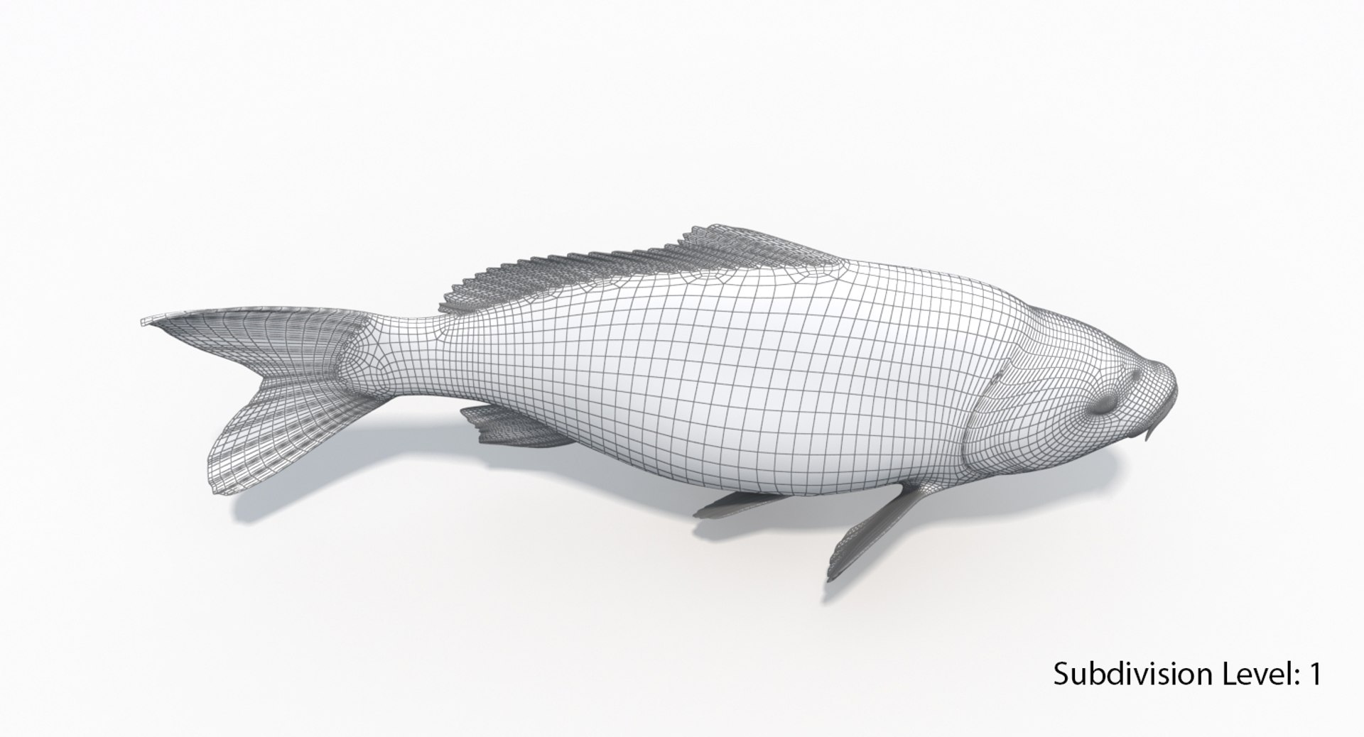 3D European Carp Animation - TurboSquid 1327226
