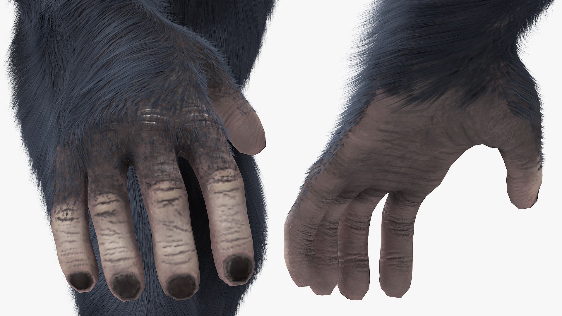 3D Chimpanzee Walking Animal Dark - TurboSquid 1436551