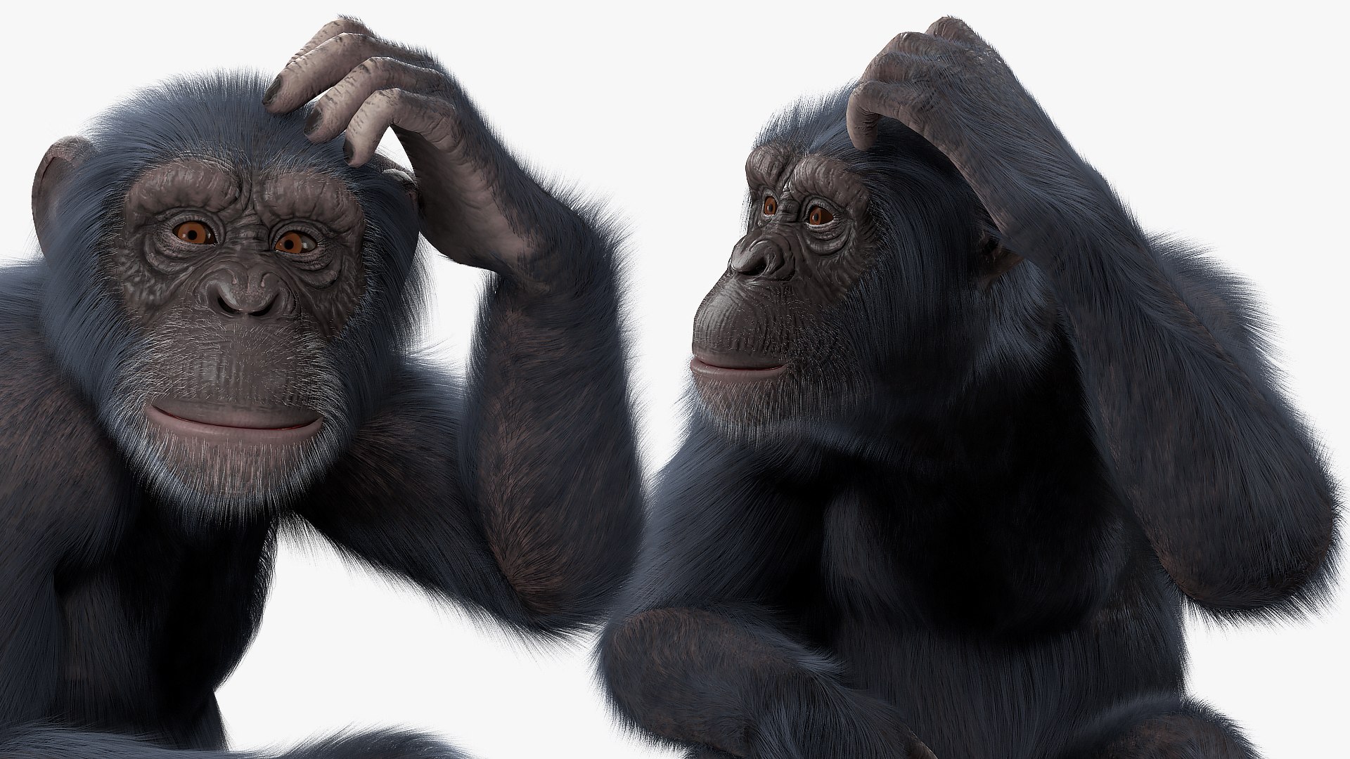 3D Chimpanzee Walking Animal Dark - TurboSquid 1436551