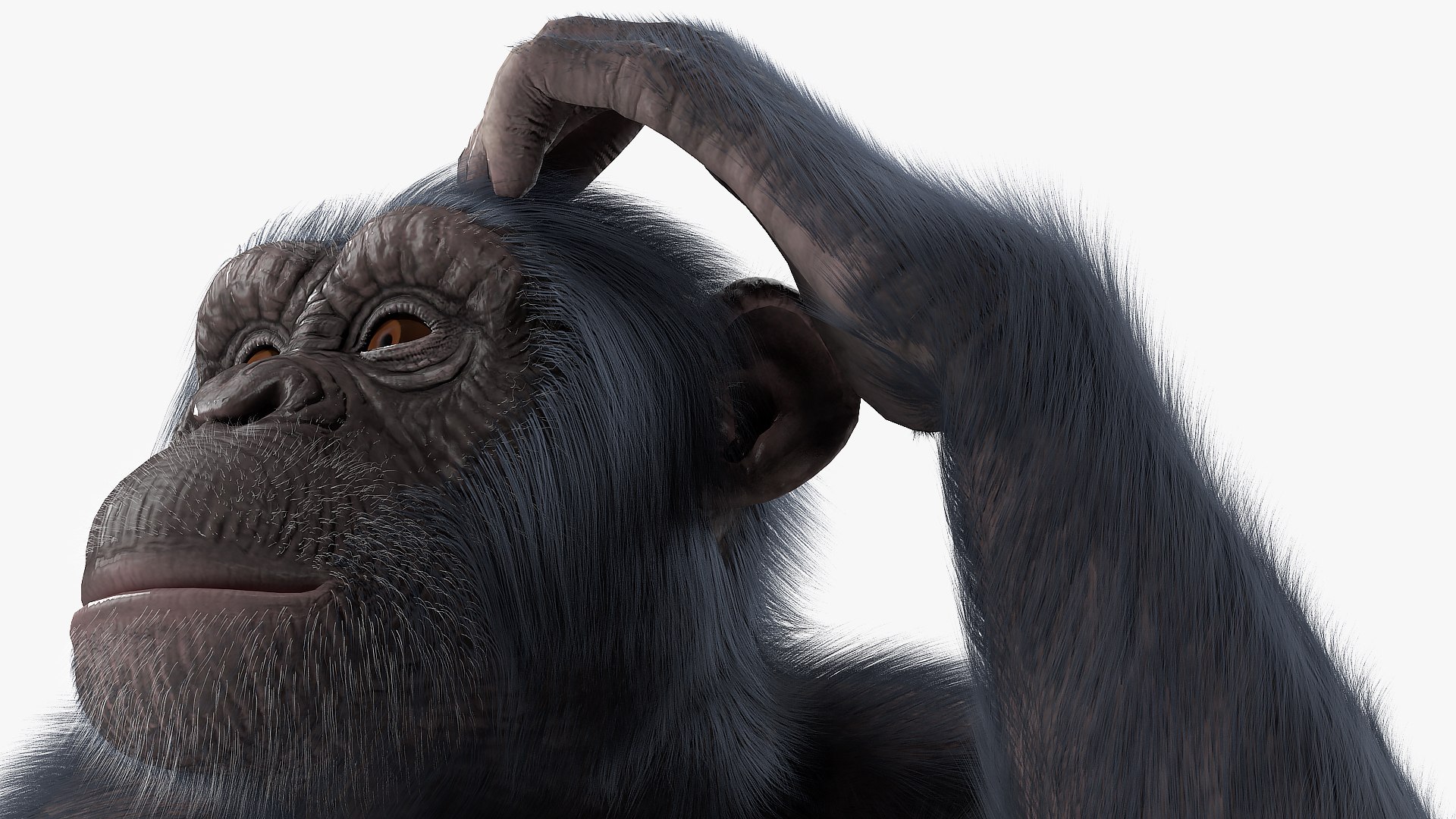 3D Chimpanzee Walking Animal Dark - TurboSquid 1436551