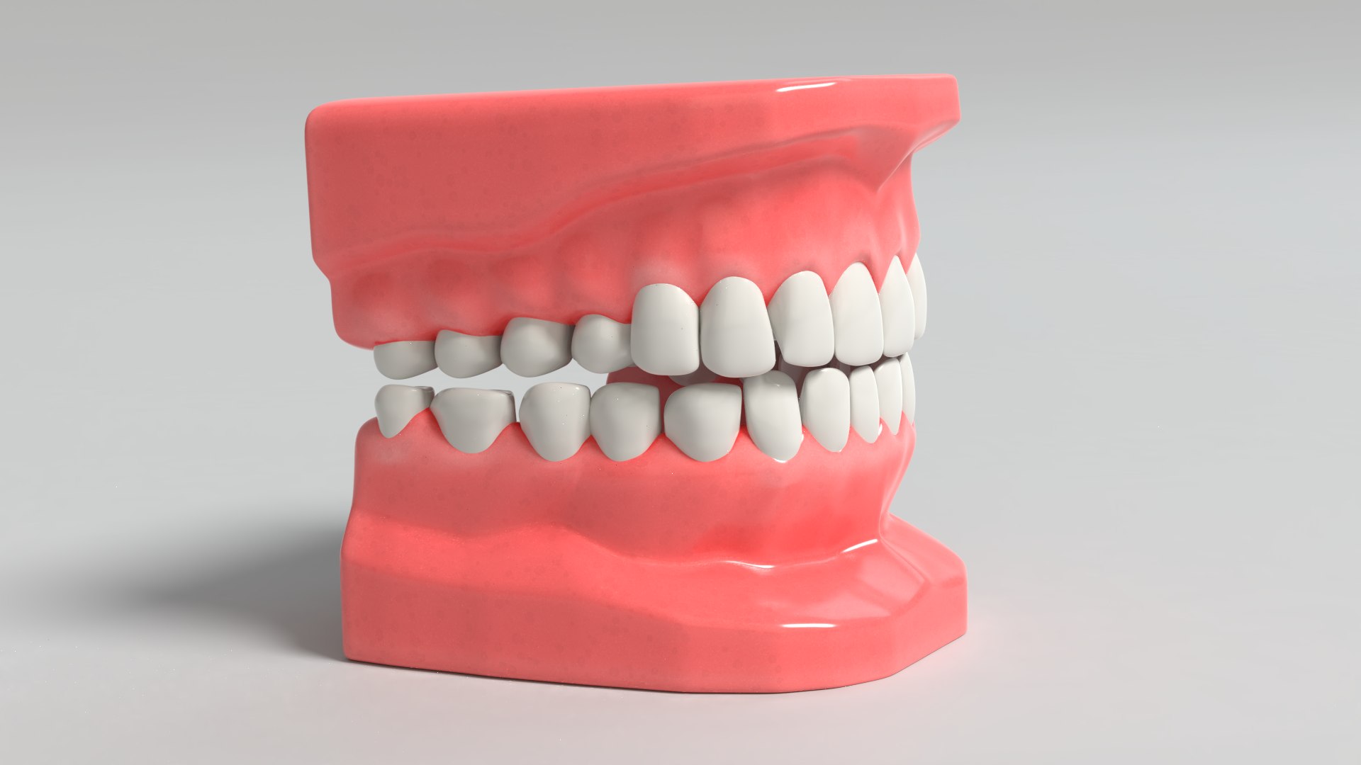 Teeth Modeled Model - TurboSquid 1517580