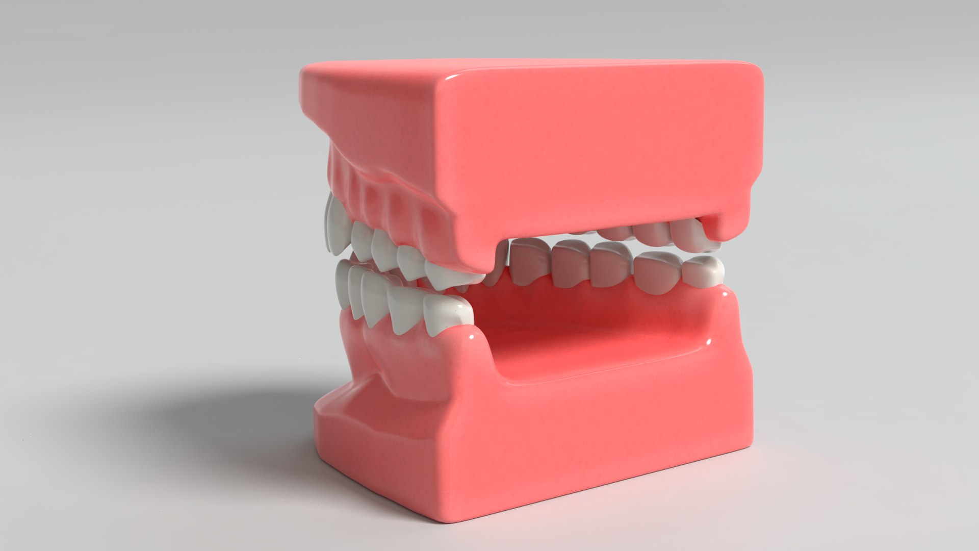 Teeth Modeled Model - TurboSquid 1517580