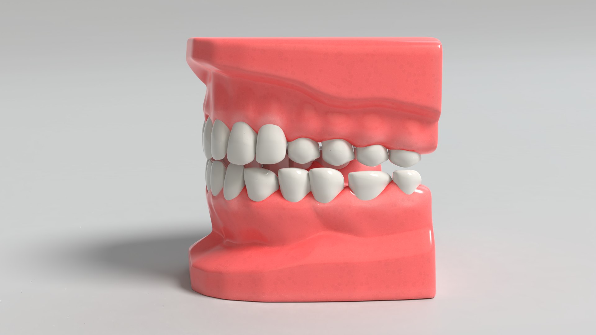 Teeth Modeled Model - TurboSquid 1517580