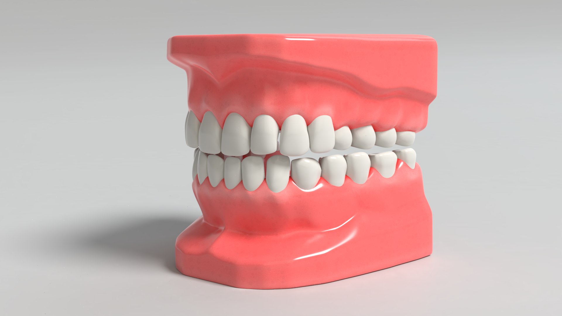 Teeth Modeled Model - TurboSquid 1517580