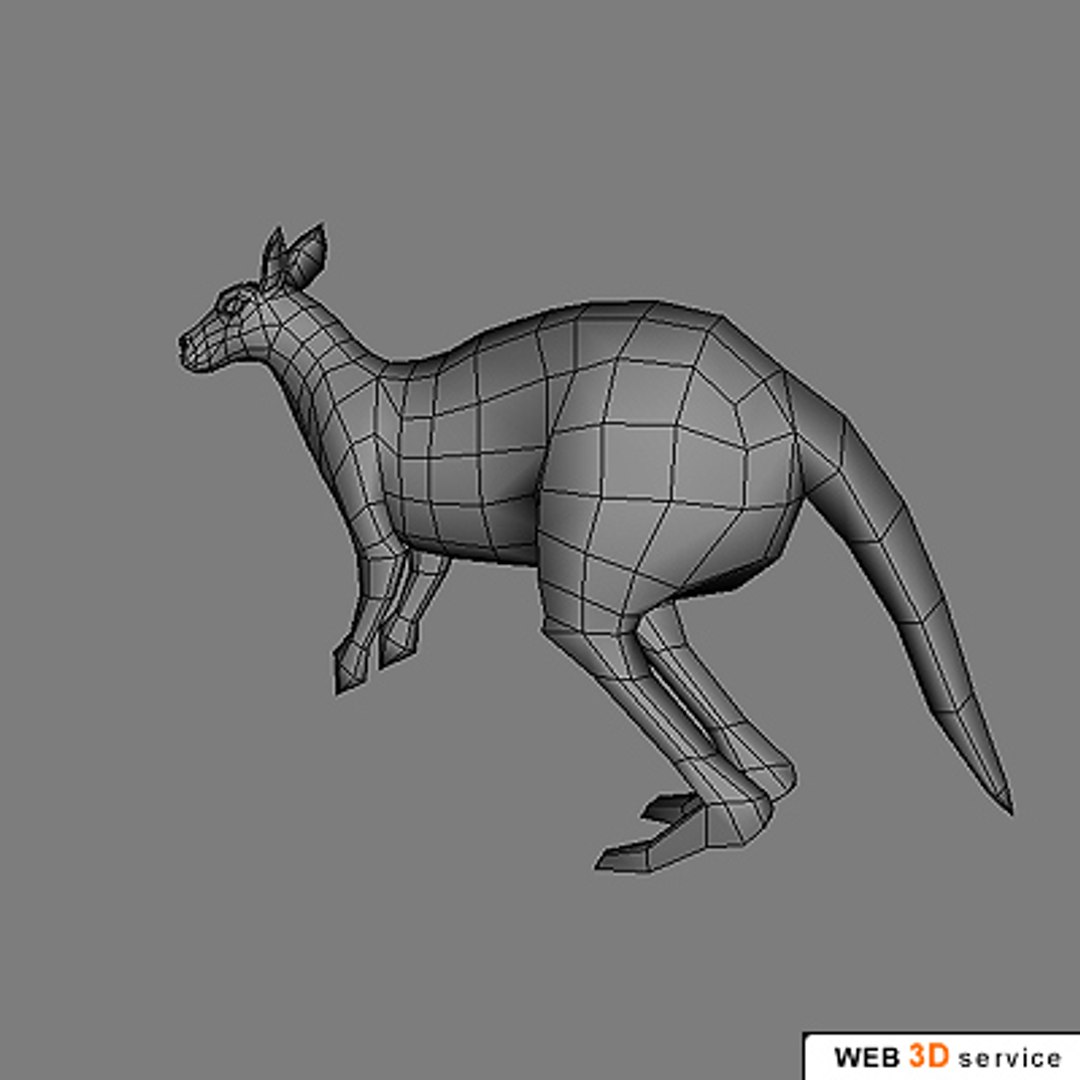 Kangaroo 3d Model