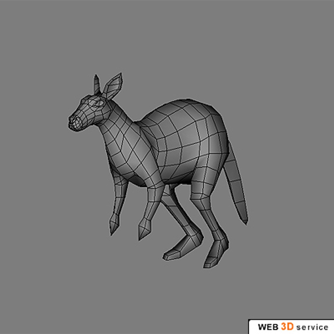Kangaroo 3d Model