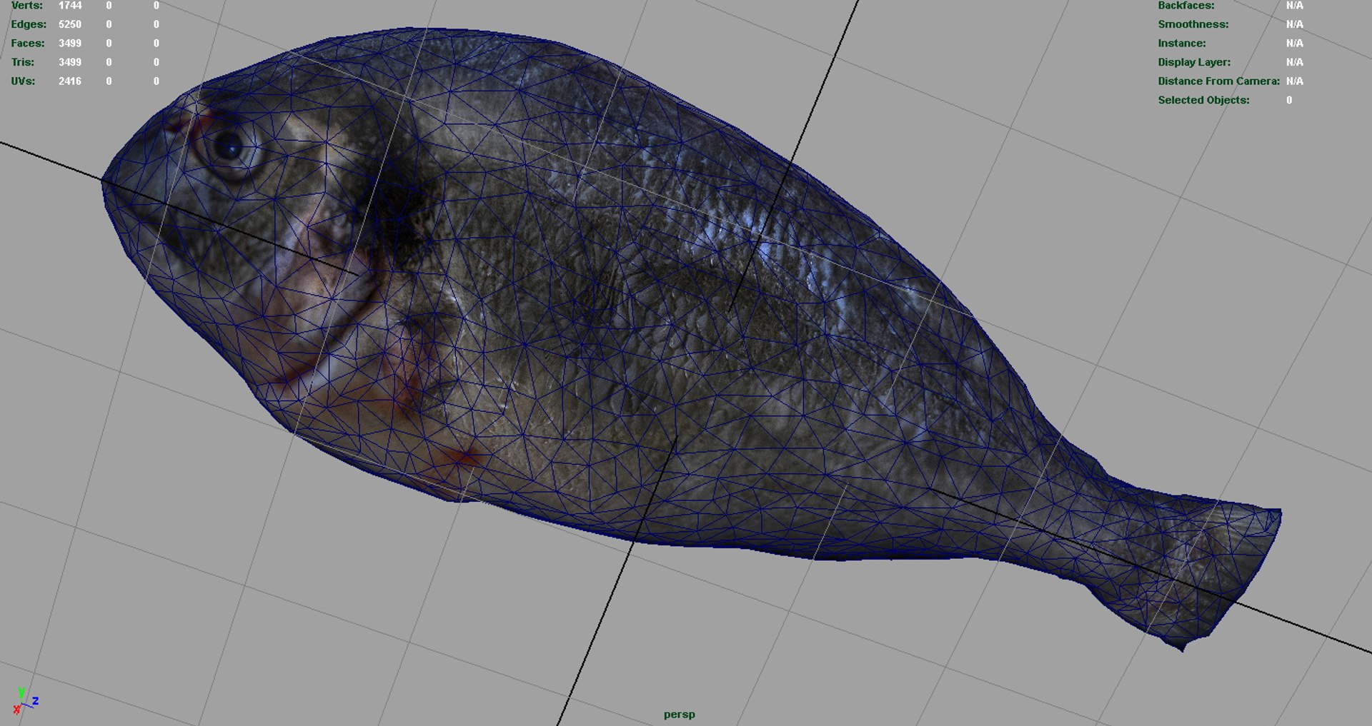 3D Gilt-head Bream Model - TurboSquid 1343600