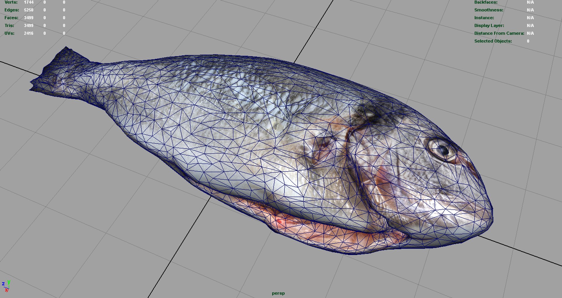 3D Gilt-head Bream Model - TurboSquid 1343600