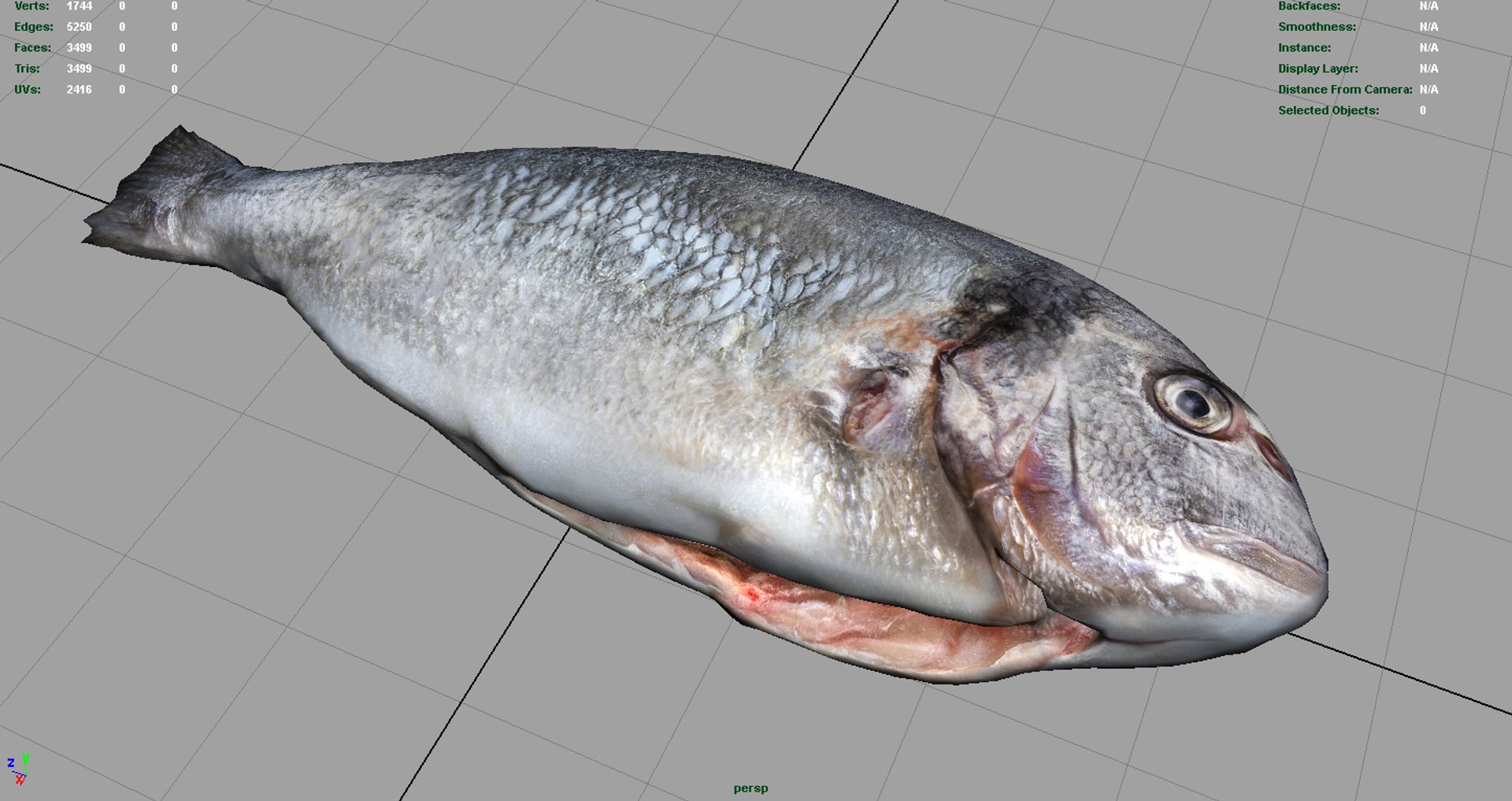3D Gilt-head Bream Model - TurboSquid 1343600