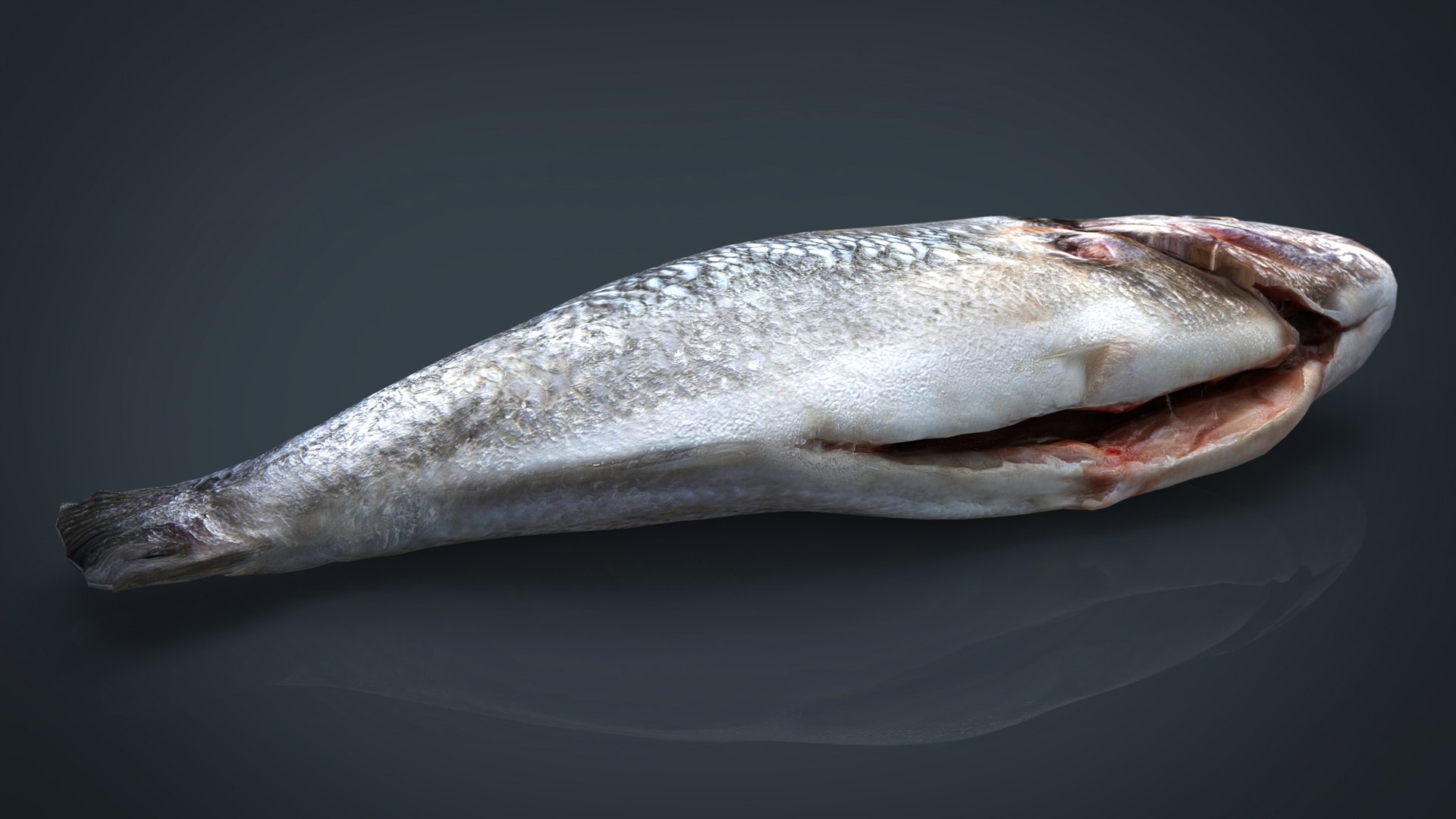 3D Gilt-head Bream Model - TurboSquid 1343600