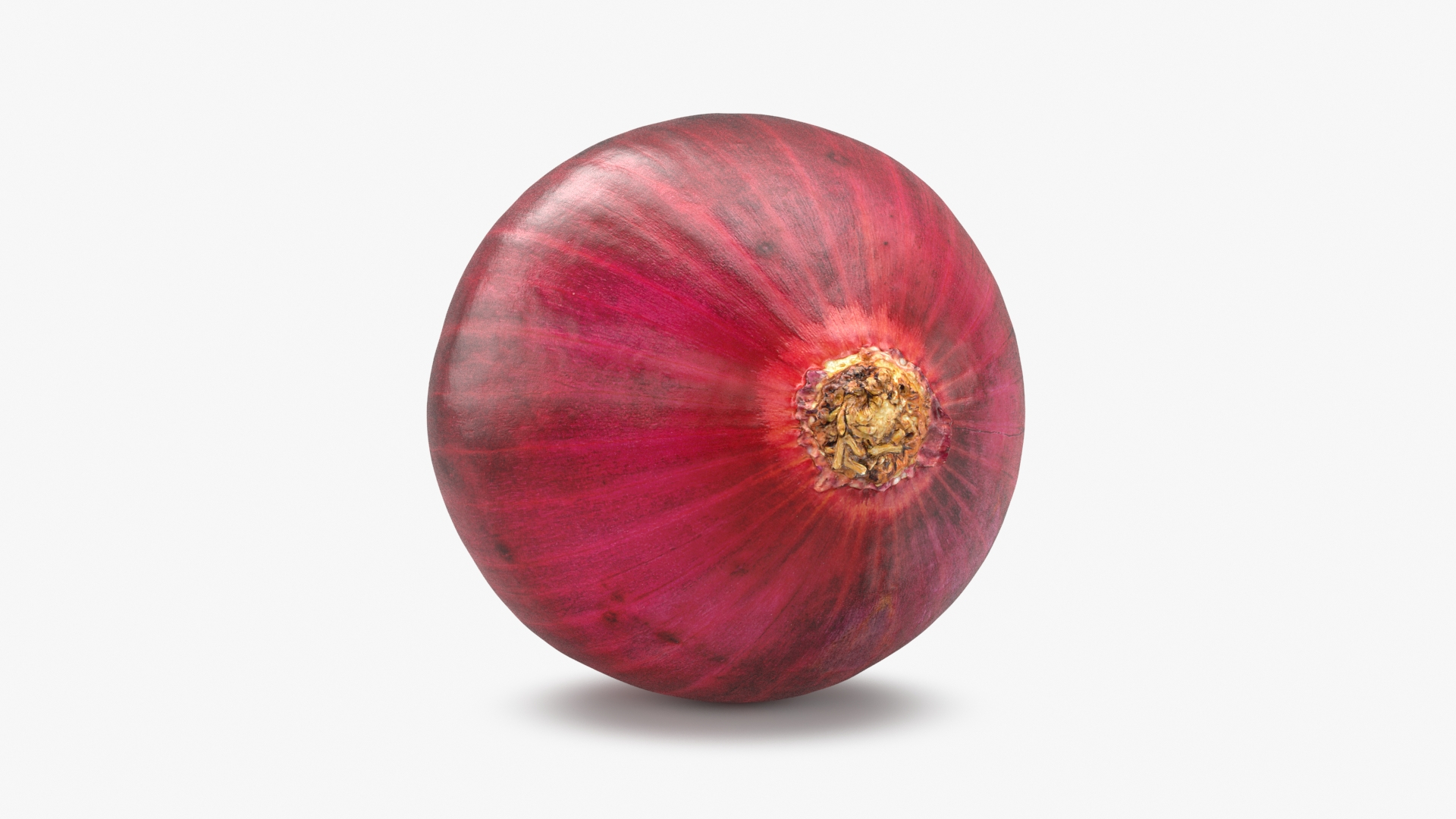 3D Whole Red Onion Collection - TurboSquid 2168573