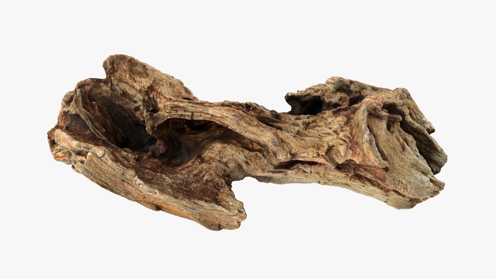 3D модель Часть ствола дерева 08 — необработанное сканирование ...