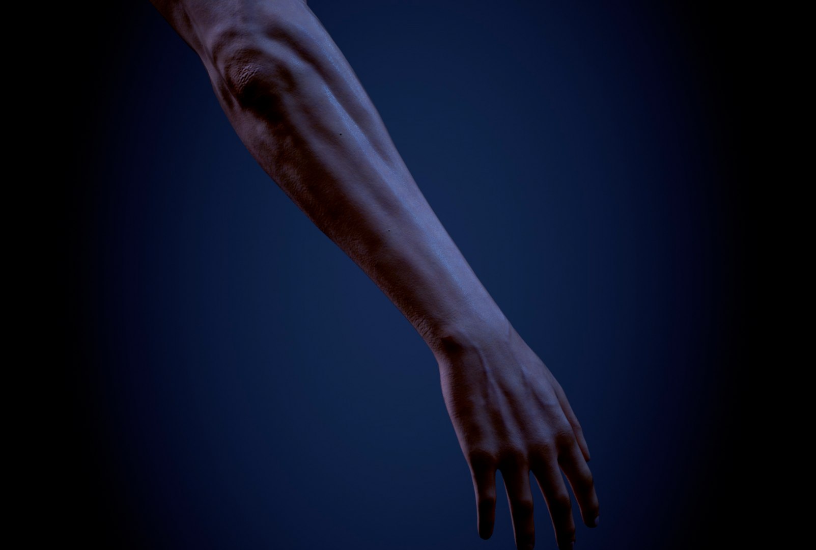 Two Arms Rigged 3D Model - TurboSquid 1921512