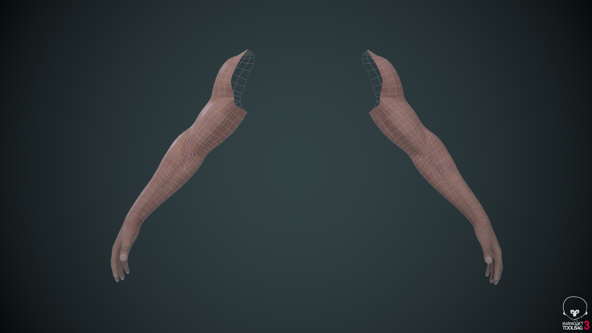 Two Arms Rigged 3D Model - TurboSquid 1921512