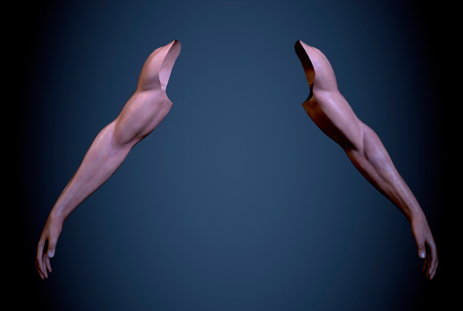 Two Arms Rigged 3D Model - TurboSquid 1921512