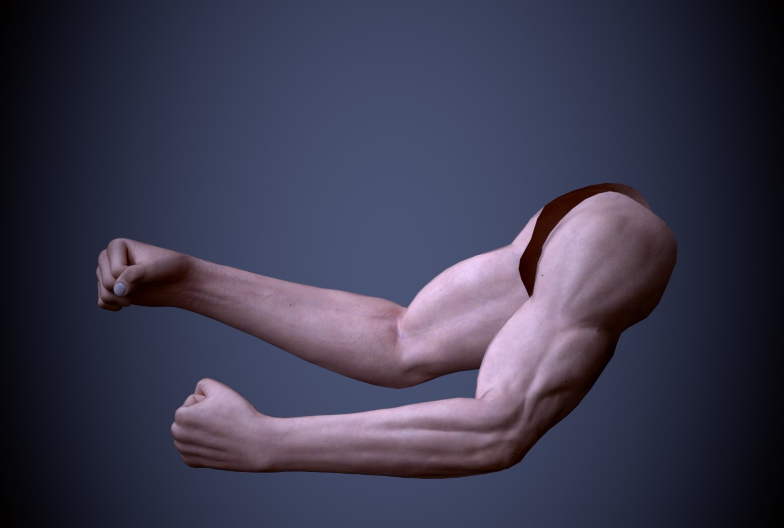 Two Arms Rigged 3D Model - TurboSquid 1921512