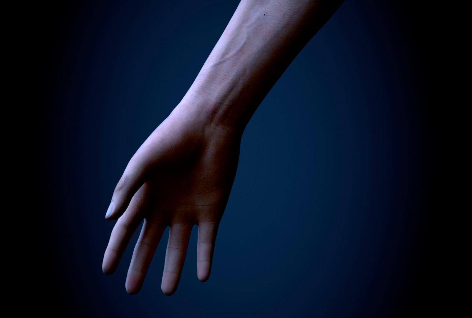 Two Arms Rigged 3D Model - TurboSquid 1921512