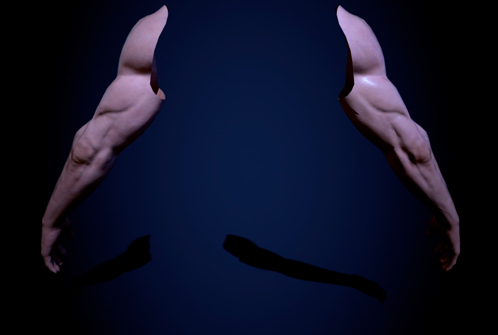 Two Arms Rigged 3D Model - TurboSquid 1921512