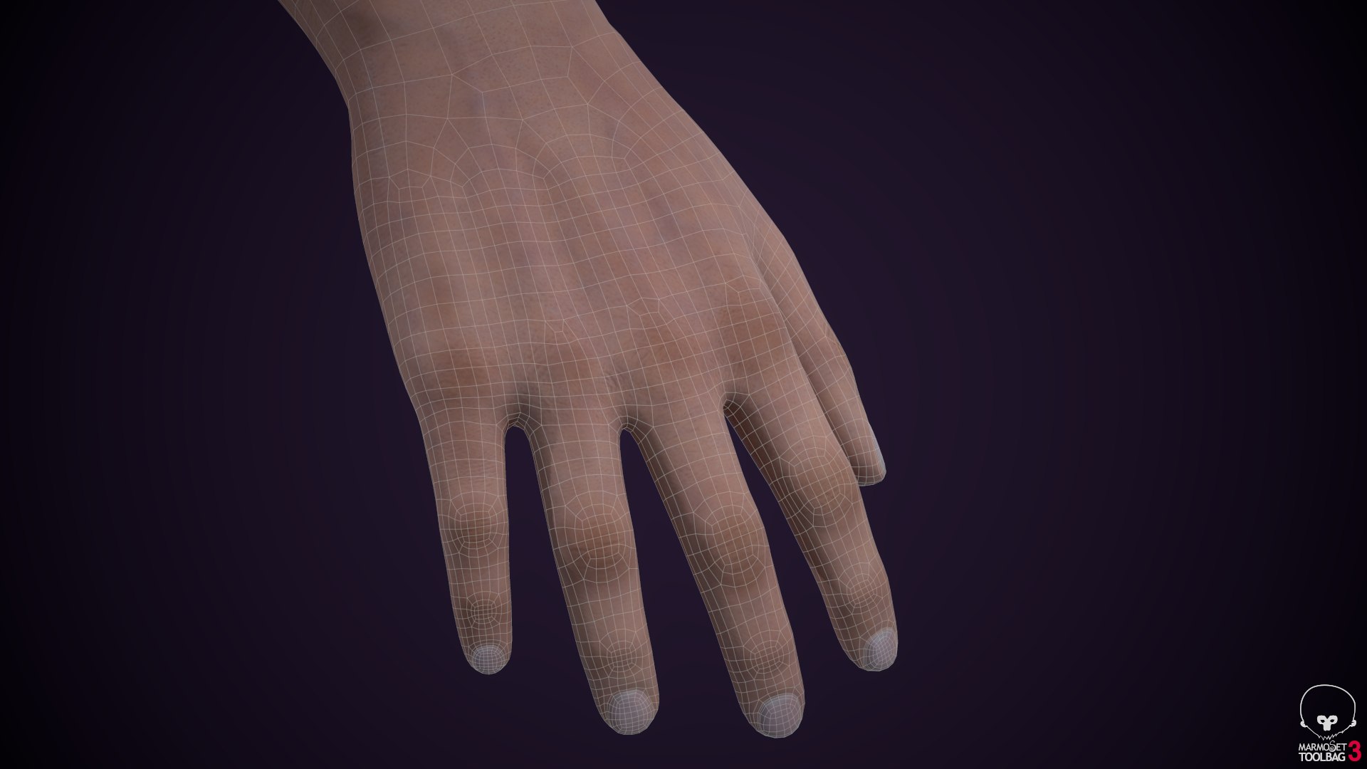 Two Arms Rigged 3D model - TurboSquid 1921512
