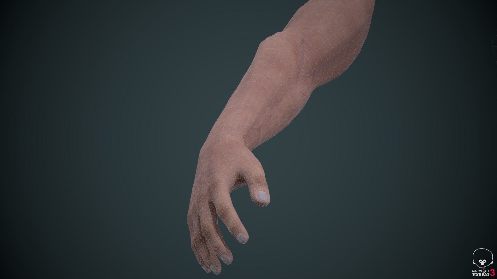 Two Arms Rigged 3D Model - TurboSquid 1921512