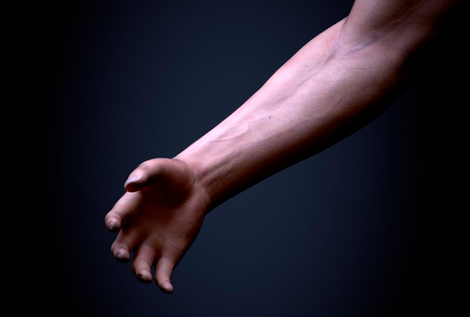 Two Arms Rigged 3D Model - TurboSquid 1921512