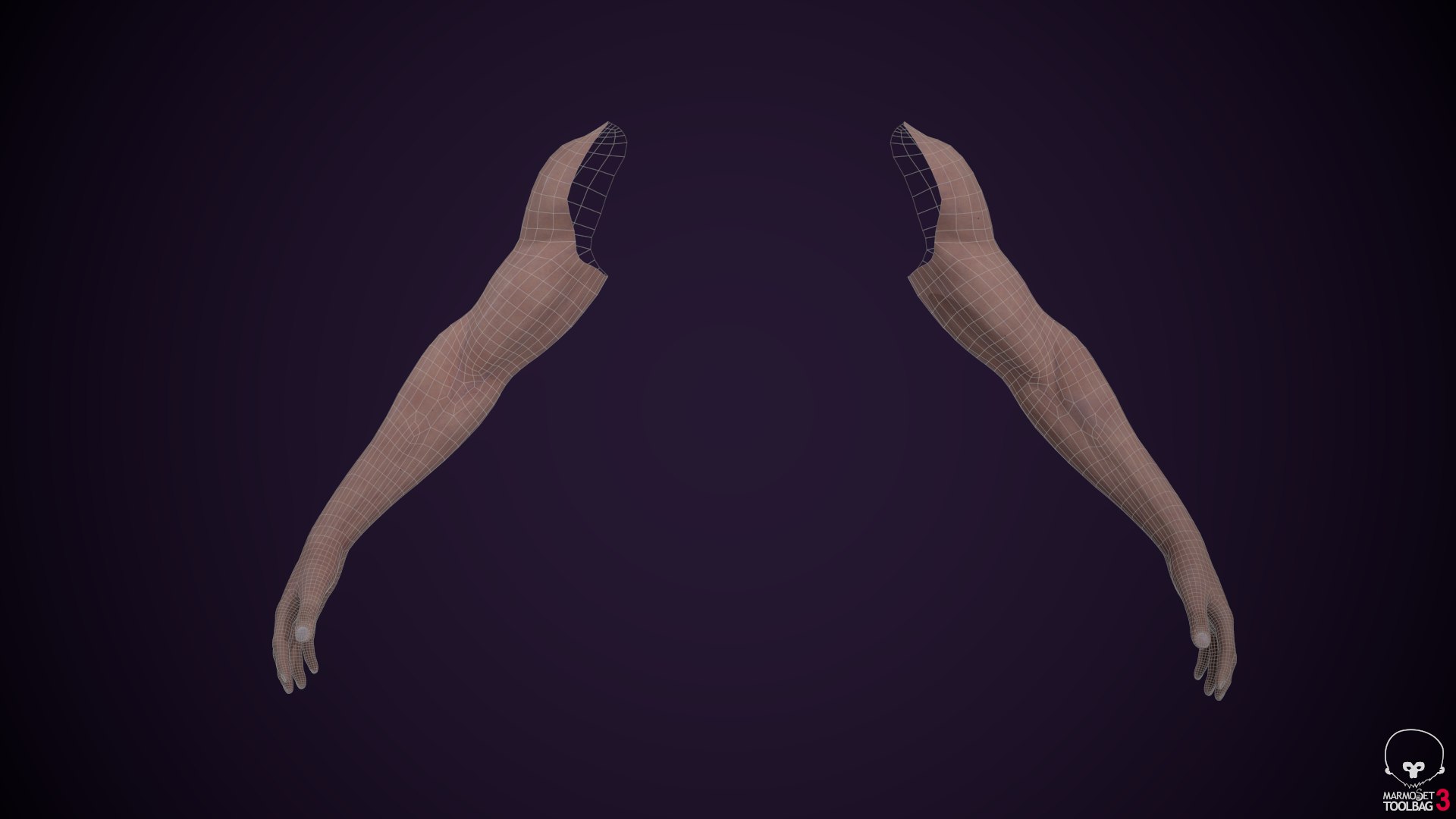 Two Arms Rigged 3D Model - TurboSquid 1921512