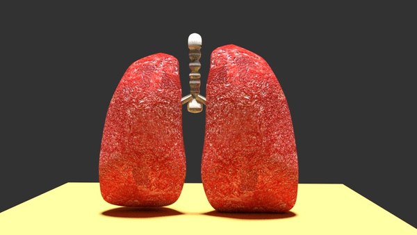 modelo 3d Pulmón - TurboSquid 1403595