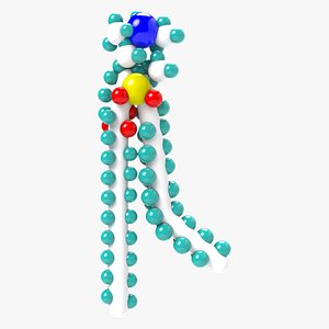 3D Lipid Models | TurboSquid