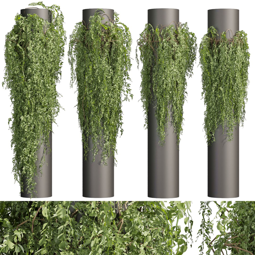 Collection plant vol 526 - bush - outdoor - column - fitowall - ivy 3D model - TurboSquid 2129730