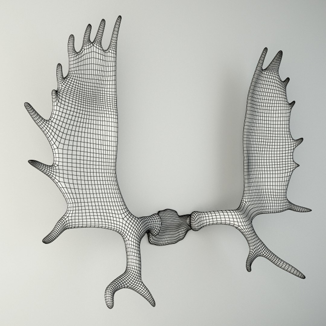 Moose Antler Rack Mount 3D - TurboSquid 1282692