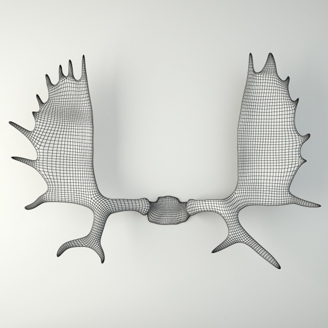 Moose Antler Rack Mount 3D - TurboSquid 1282692