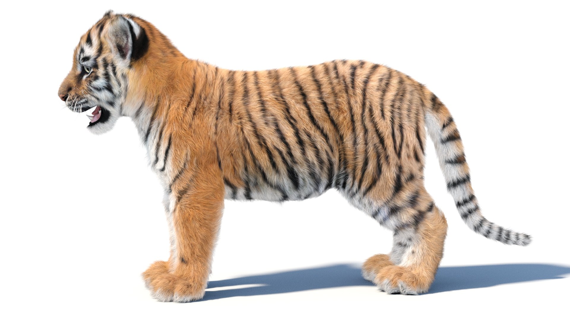 Tiger Cub 3D Model Fur 3D Model - TurboSquid 2341772