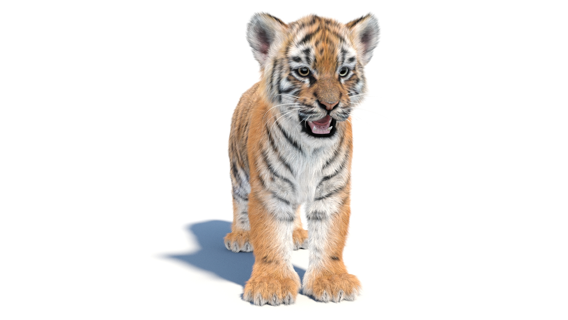 Tiger Cub 3D Model Fur 3D Model - TurboSquid 2341772